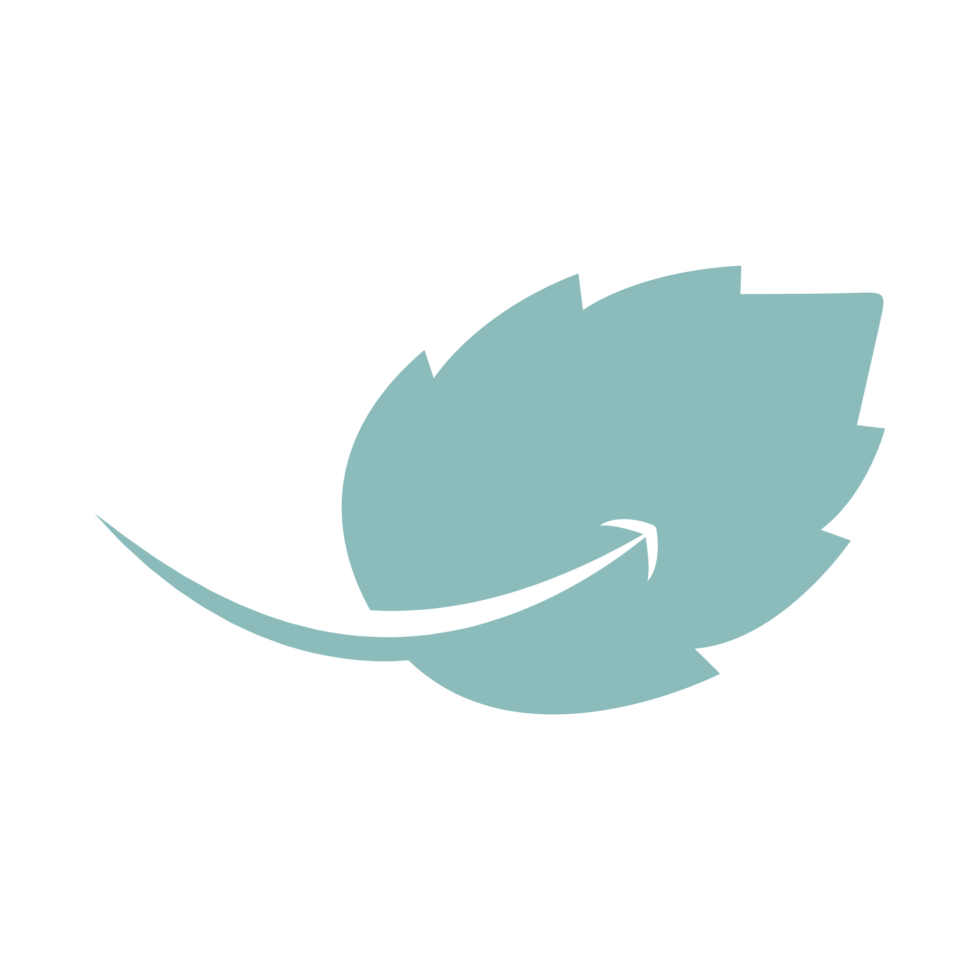 Irvine Damon Braces | Mint Orthodontics